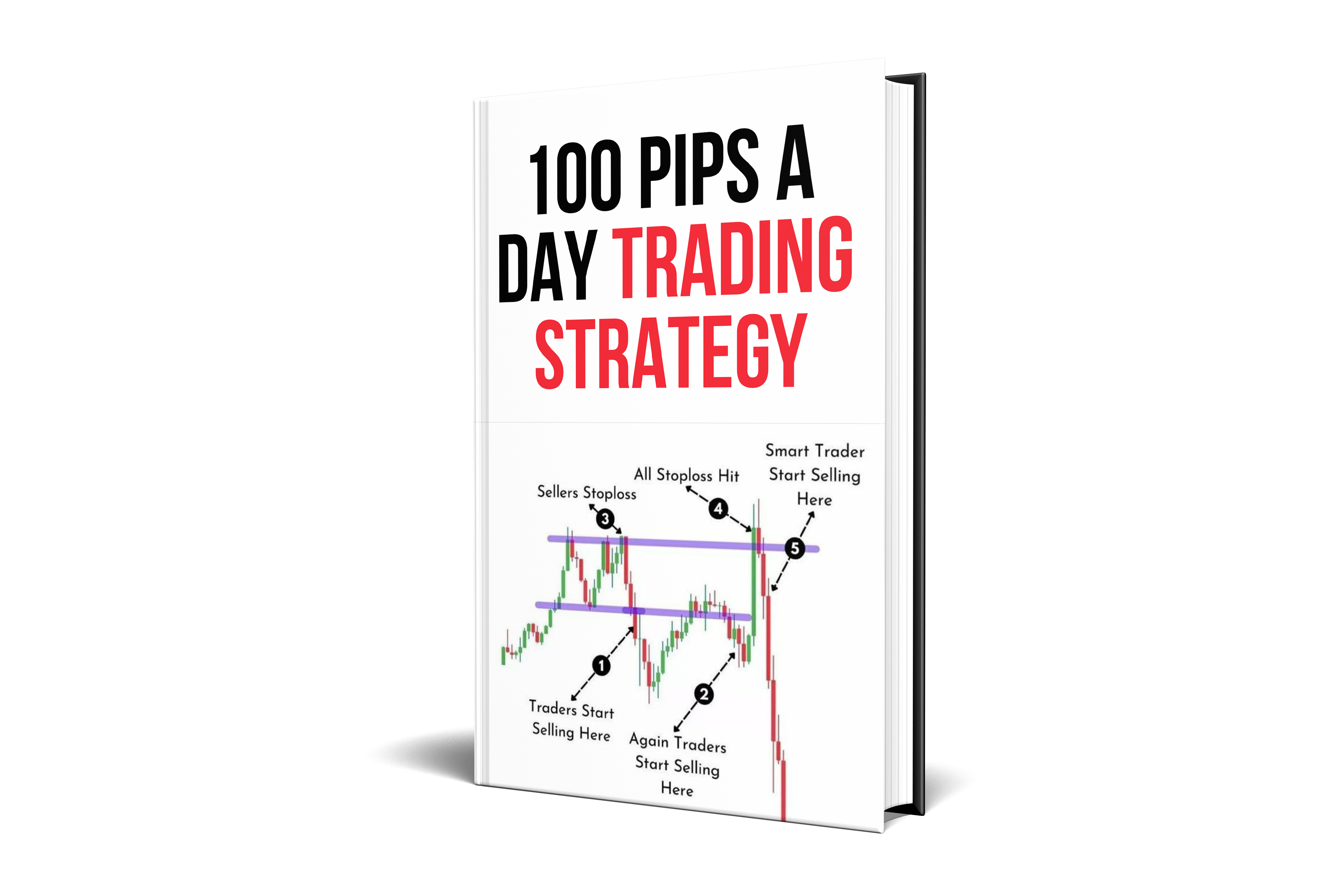 100-pips-trading-strategy - Pro Trading School